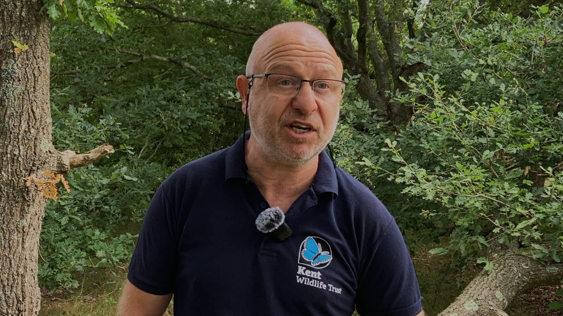 Old Park has just been designated as a Local Wildlife Site by Kent ...